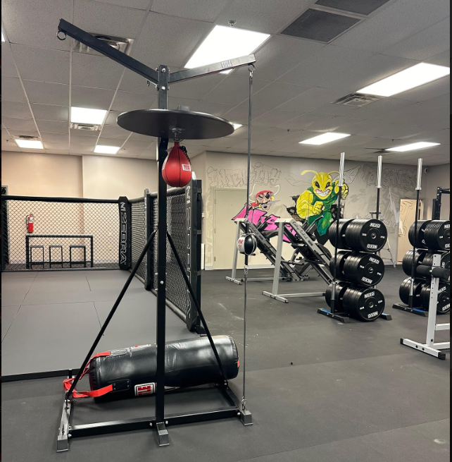 HitSquad Elite | Family Fitness & Sports Performance Solutions